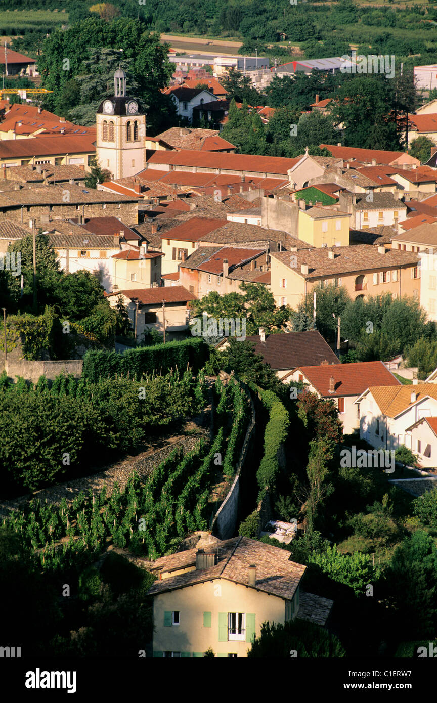 Vineyard Condrieu Rhone France Stock Photos & Vineyard Condrieu Rhone ...