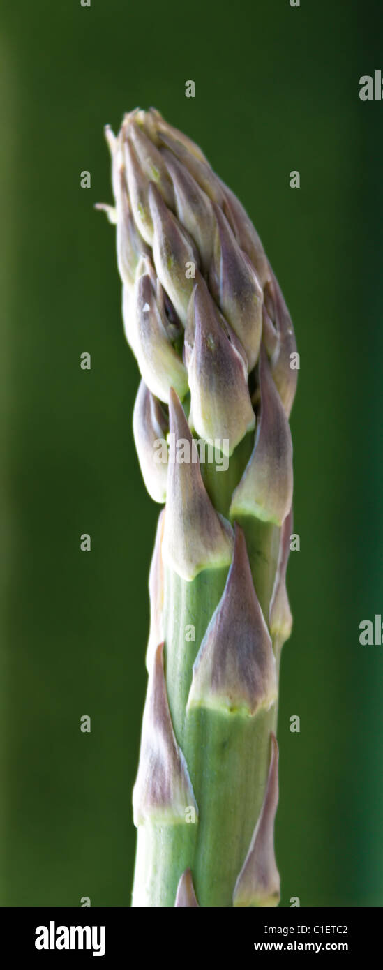 Green asparagus. In the spring is asparagus season Stock Photo - Alamy