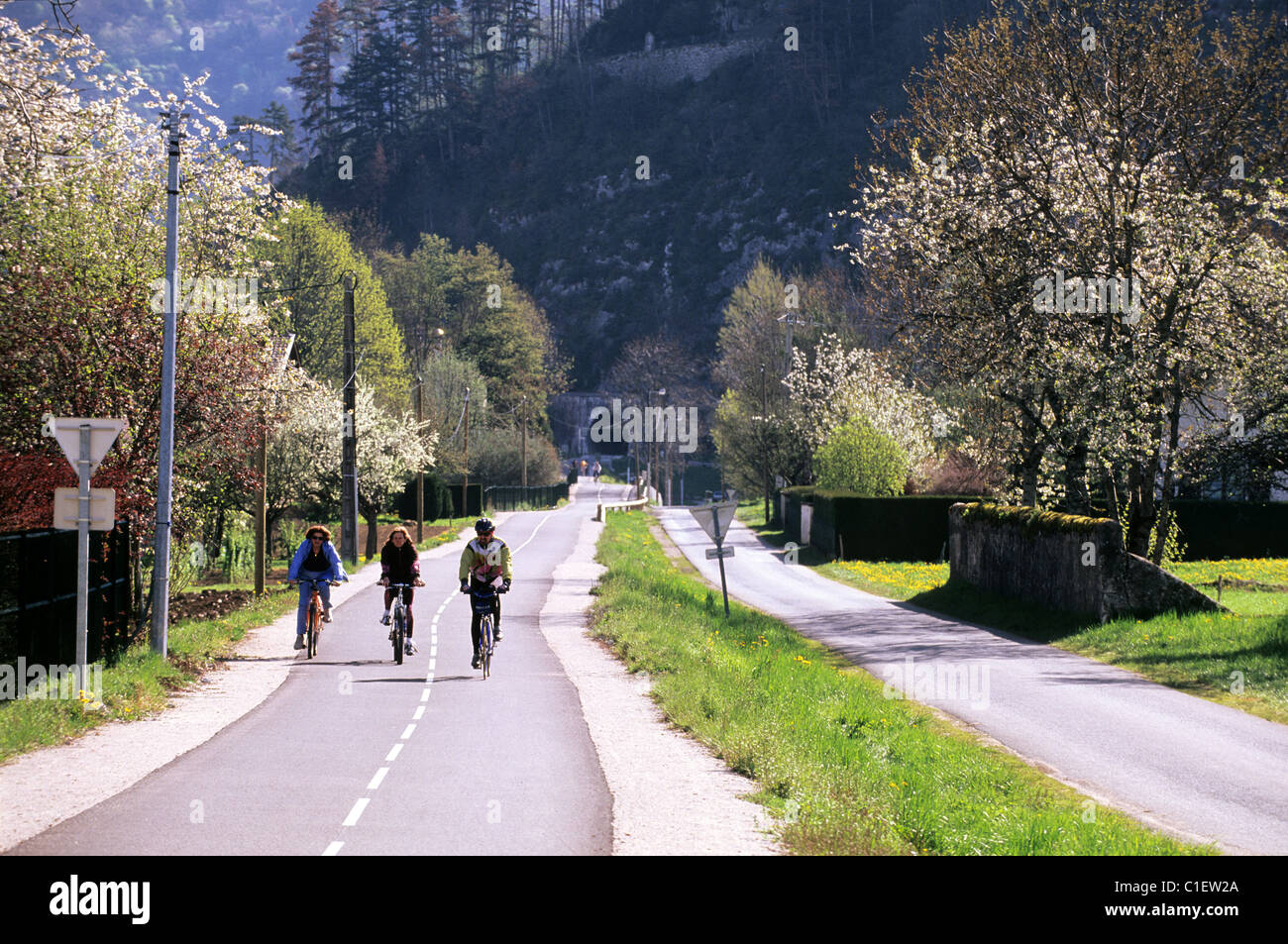 France, Haute Savoie, bicycle path around the Annecy lake Stock Photo ...