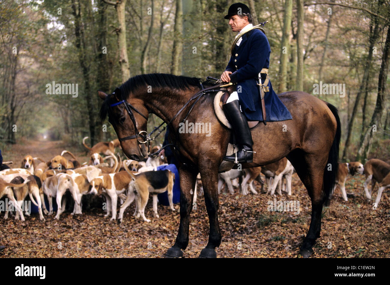France hunting hounds hi-res stock photography and images - Alamy