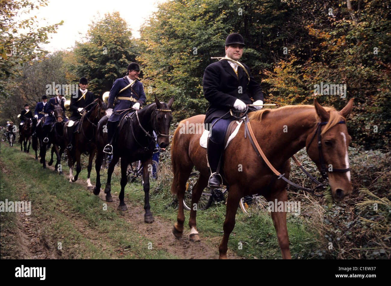 France hunting hounds hi-res stock photography and images - Alamy