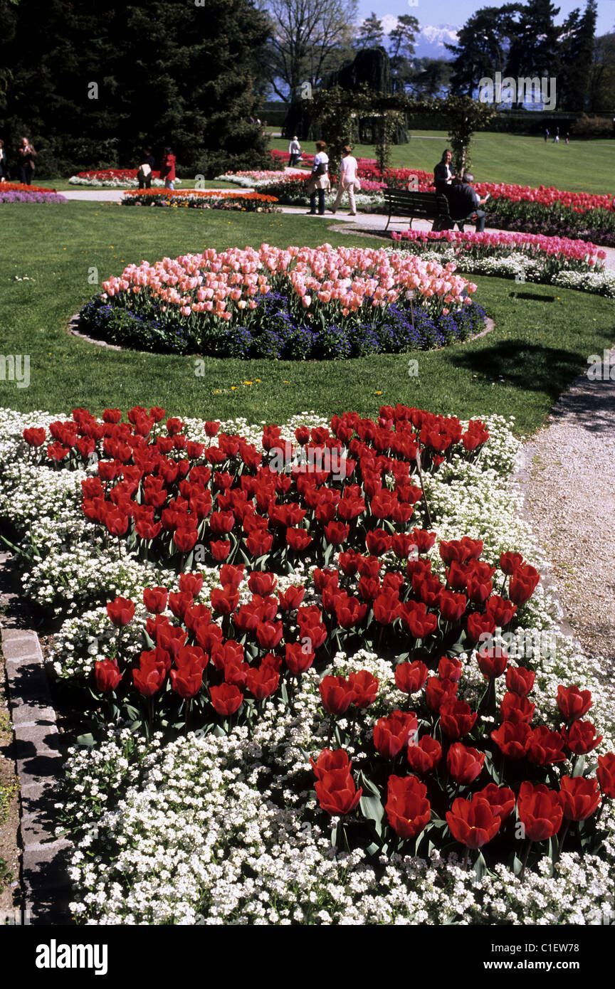 Switzerland, Geneva, the botanical garden in springtime Stock Photo - Alamy