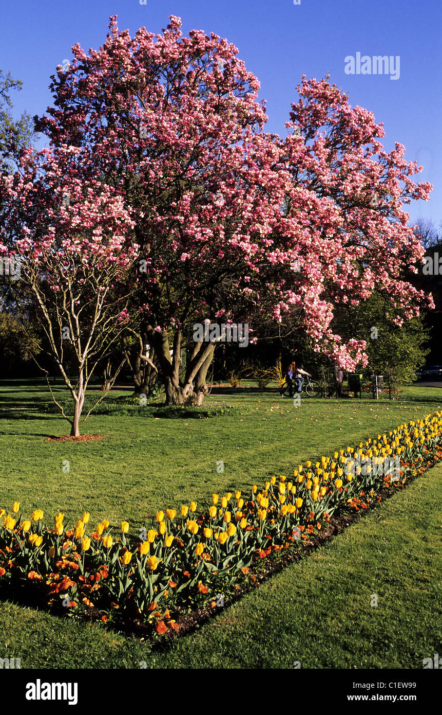 Mon repos park hi-res stock photography and images - Alamy