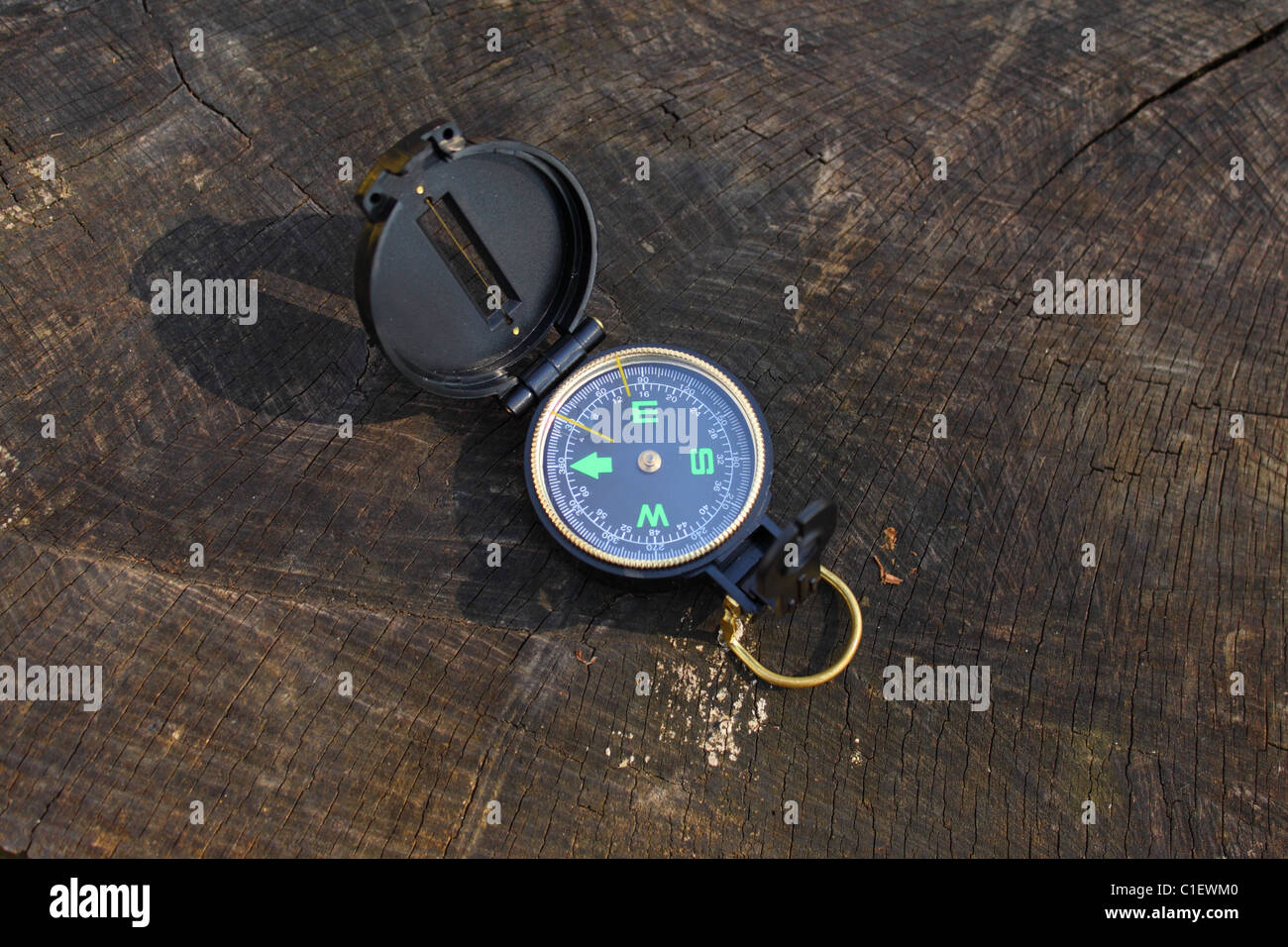 Magnetic Compass Age Of Exploration