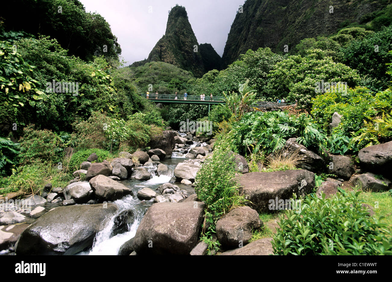 United States, Hawaii Islands, Maui, Lao Needle Stock Photo - Alamy