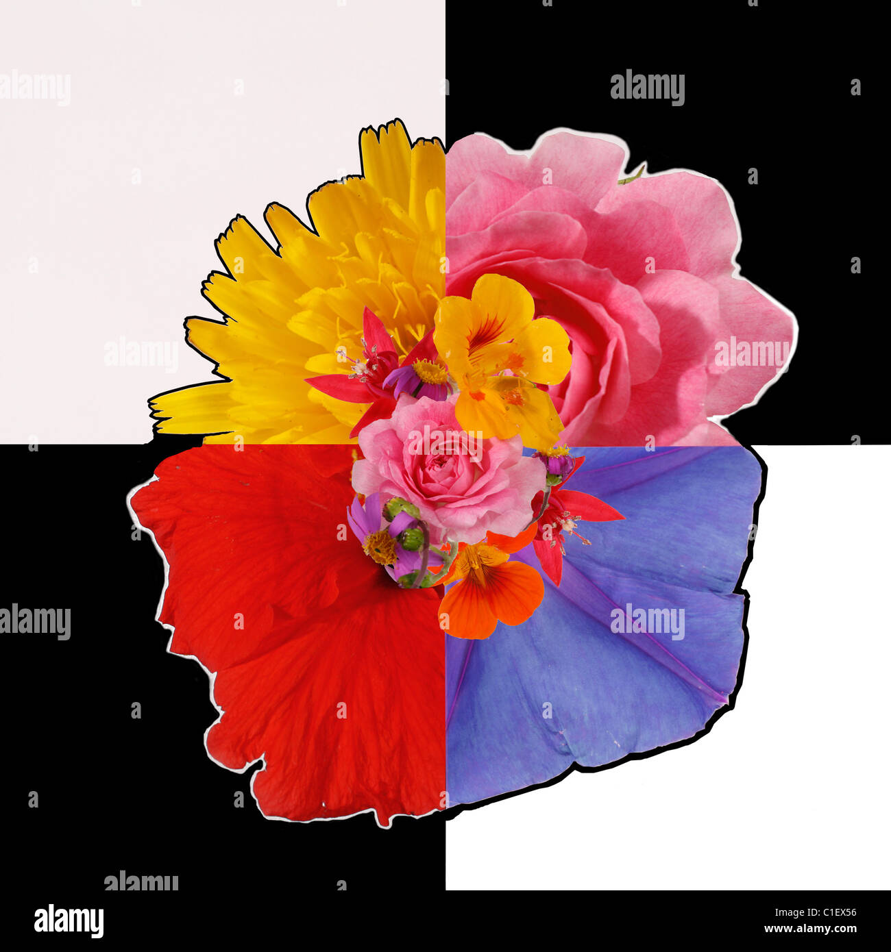 Merged flowers hi-res stock photography and images - Alamy