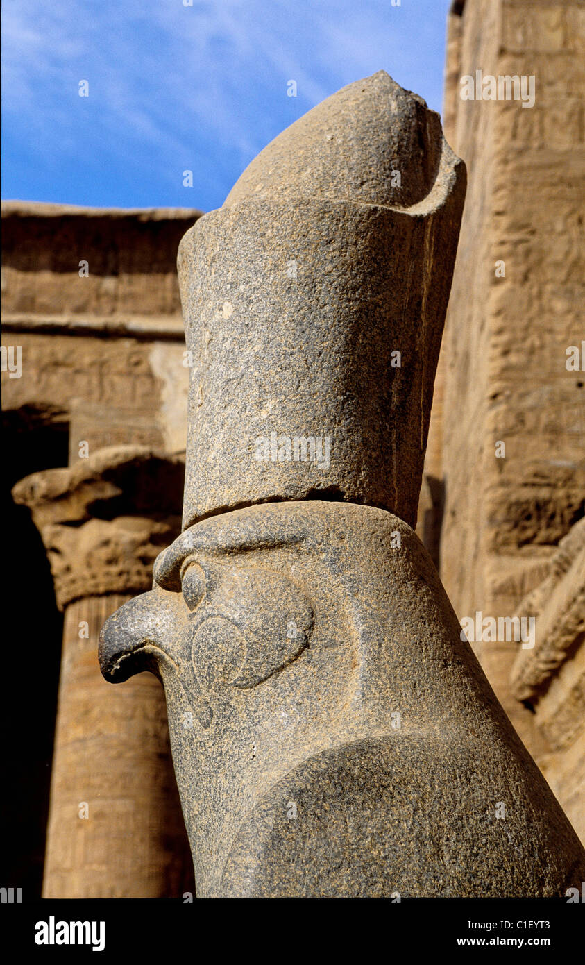 Egypt, Upper Egypt, Horus the falcon god statue Edfu Temple Stock Photo ...