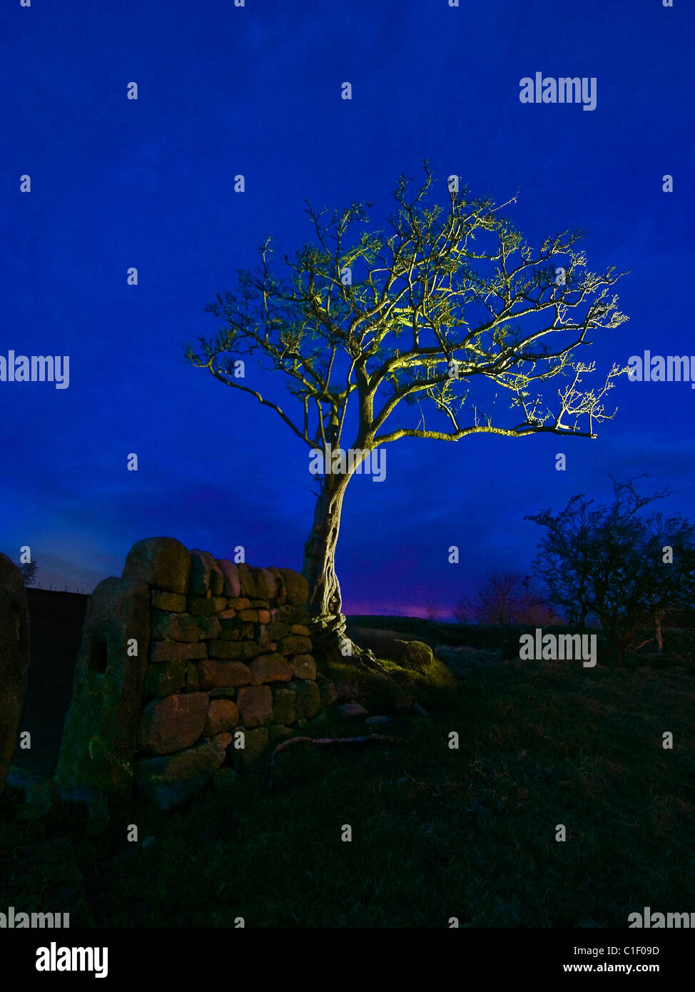 Dry stone wall sunset hi-res stock photography and images - Alamy