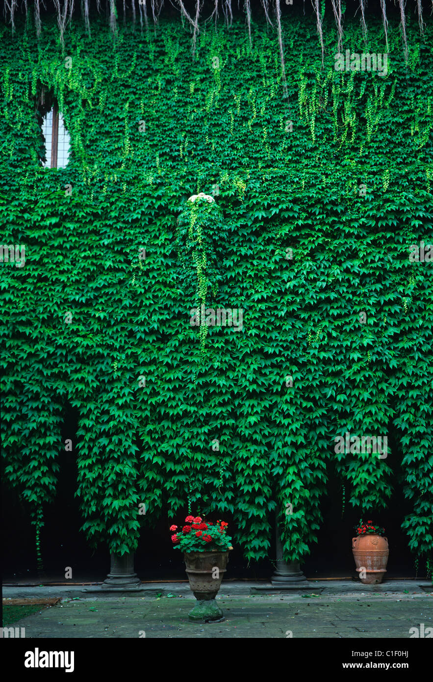 The classical Italian Garden of Castello Di Uzzano in the Chianti ...
