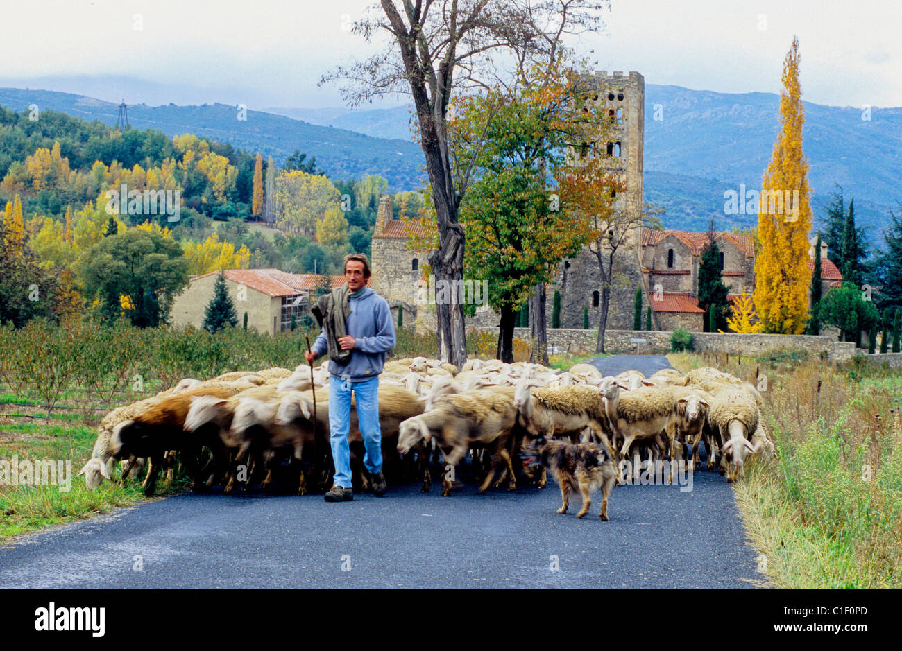 France, Pyrenees Orientales, Benedicte abbey of St Michel de Cuxa ...