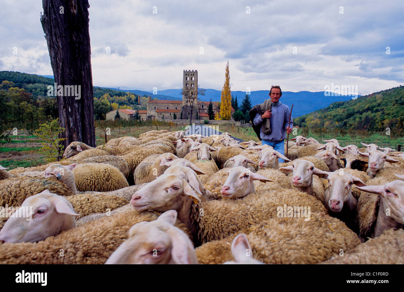 France, Pyrenees Orientales, Benedicte abbey of St Michel de Cuxa ...