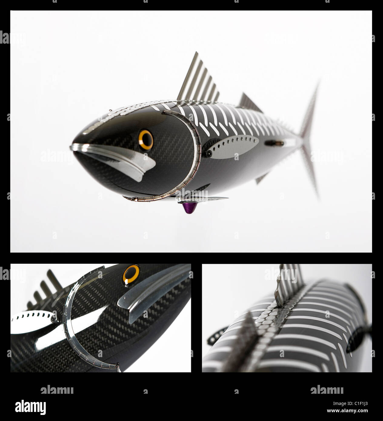 CAR SHARK There's some-fin fishy about this model shark - it was built ...