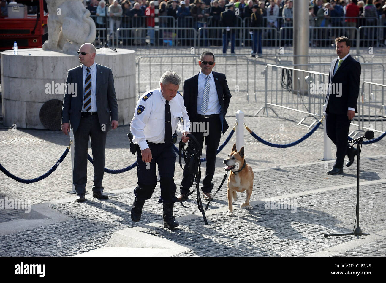 Amsterdam Security ( Beveiliging) sniffer dogs at the wearth laying ...