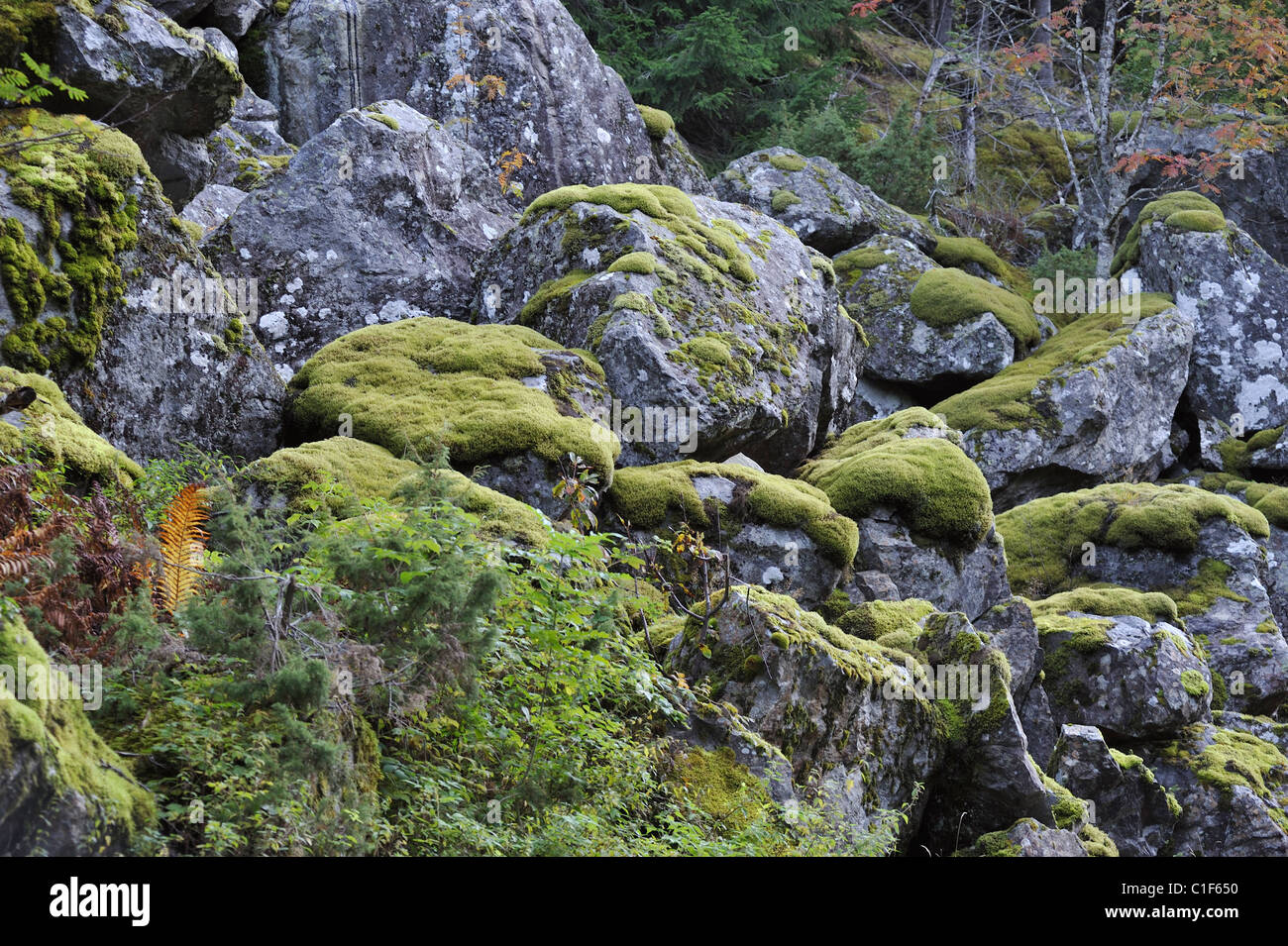 Fallen rocks from the mountain side, Odda Norway Stock Photo - Alamy