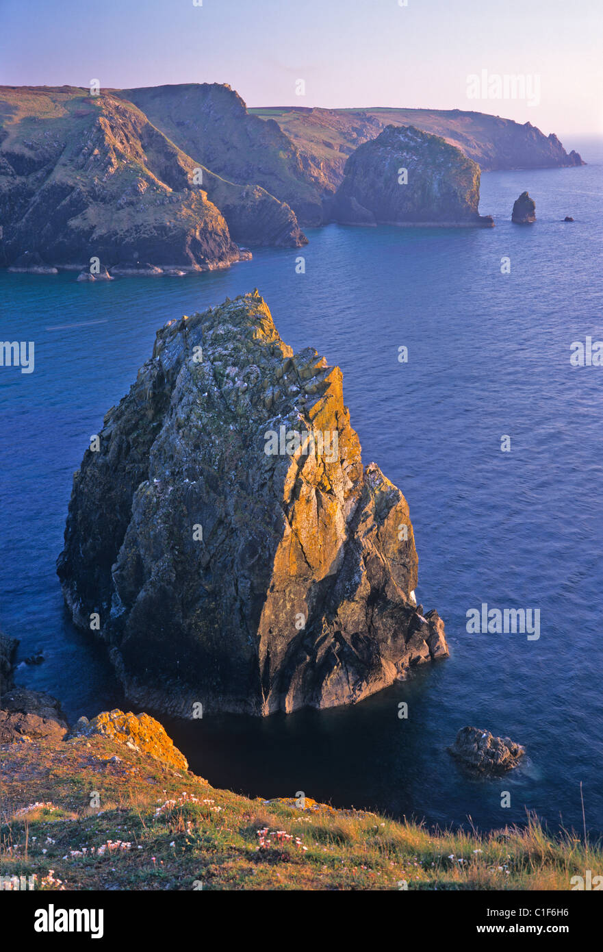 Mullion Cove on the south coast of Cornwall in early evening Stock ...