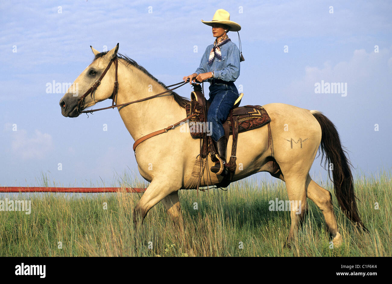 Forth worth people hi-res stock photography and images - Alamy