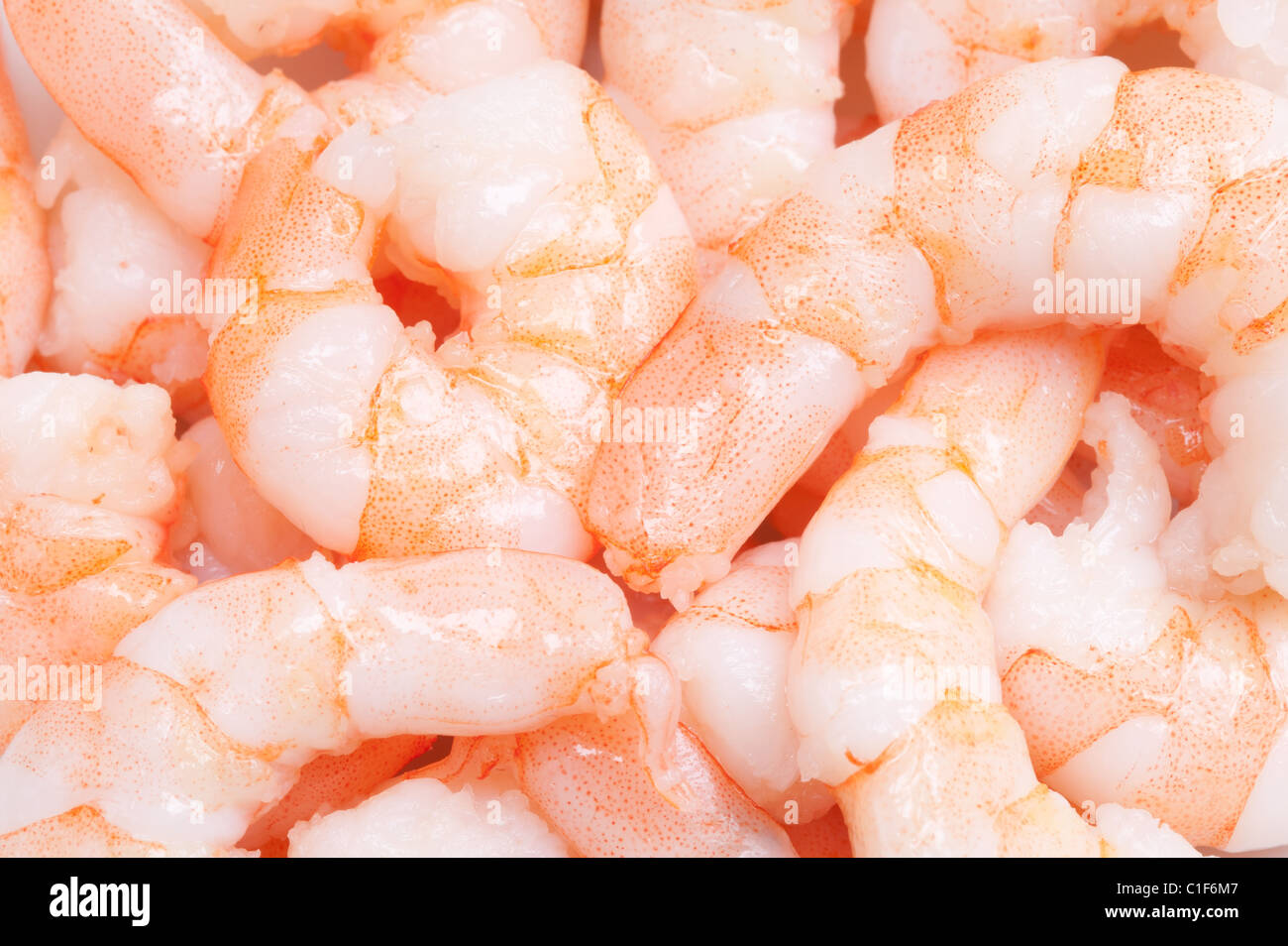 group of cooked prepared shrimp for backgrounds Stock Photo - Alamy