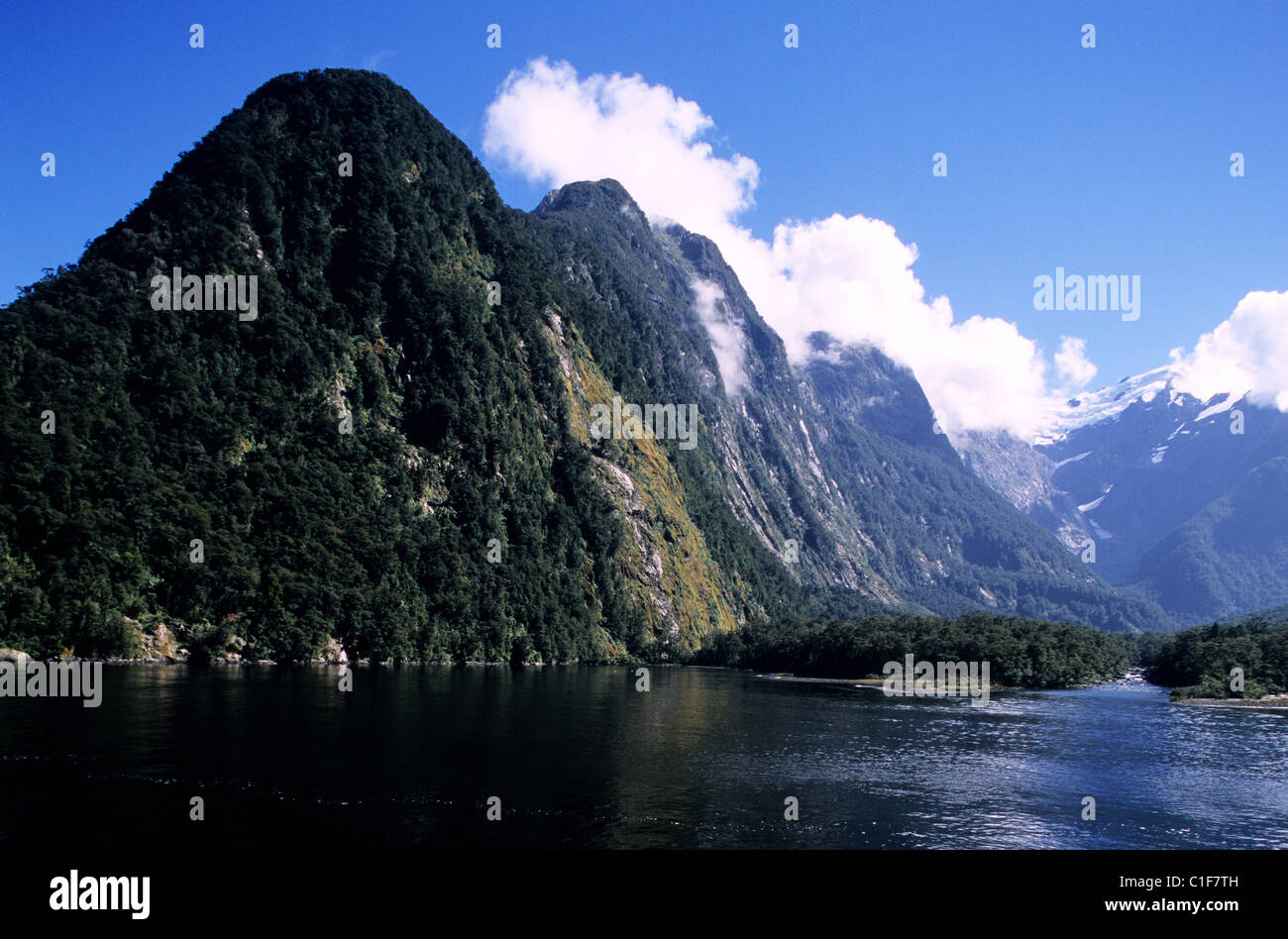 New Zealand, South Island, Milford Sound fjord Stock Photo - Alamy