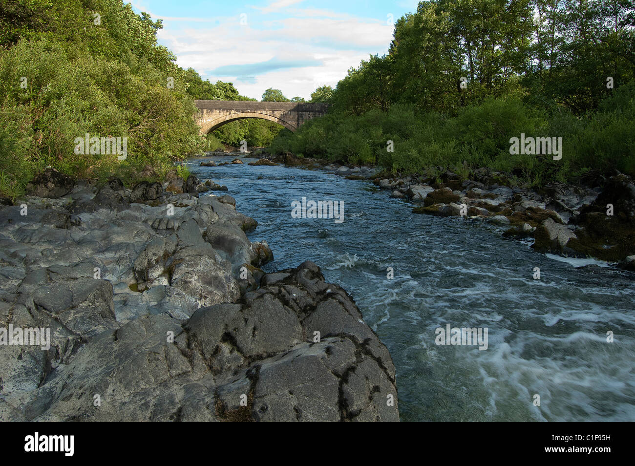 View of the river Nith on a bright sunny day, looking towards a single ...