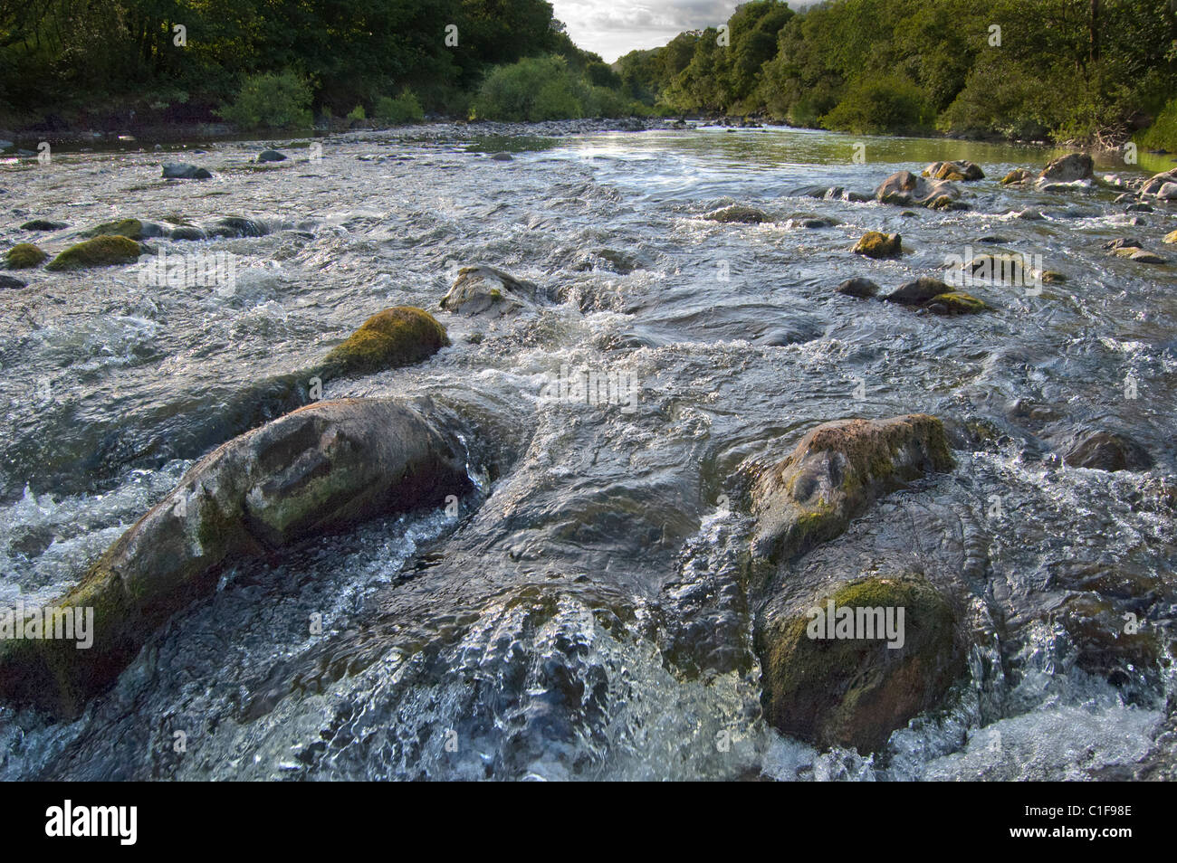 Close-up of river from mid-stream Stock Photo - Alamy