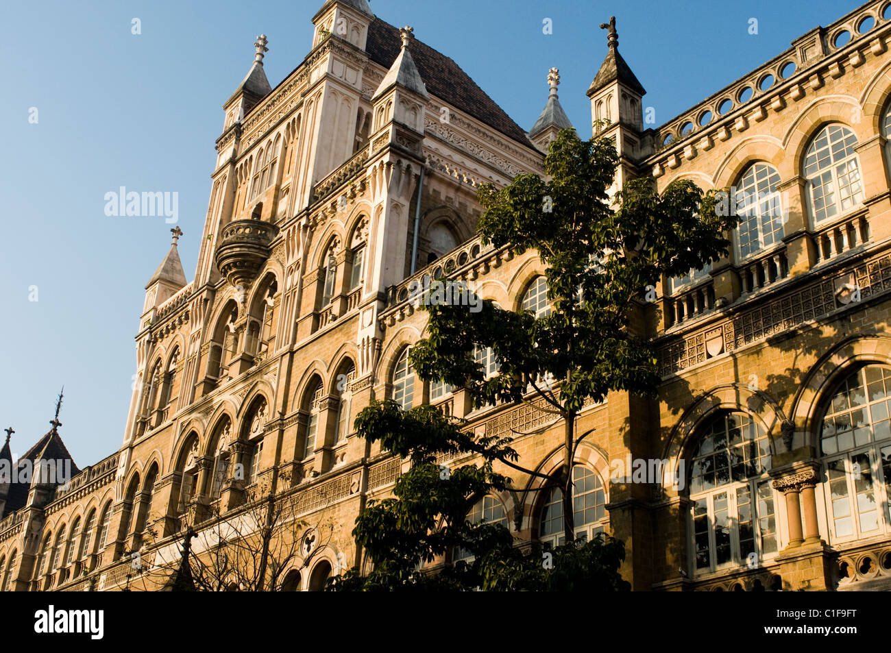 Colonial architecture elphinstone college mumbai hi-res stock ...