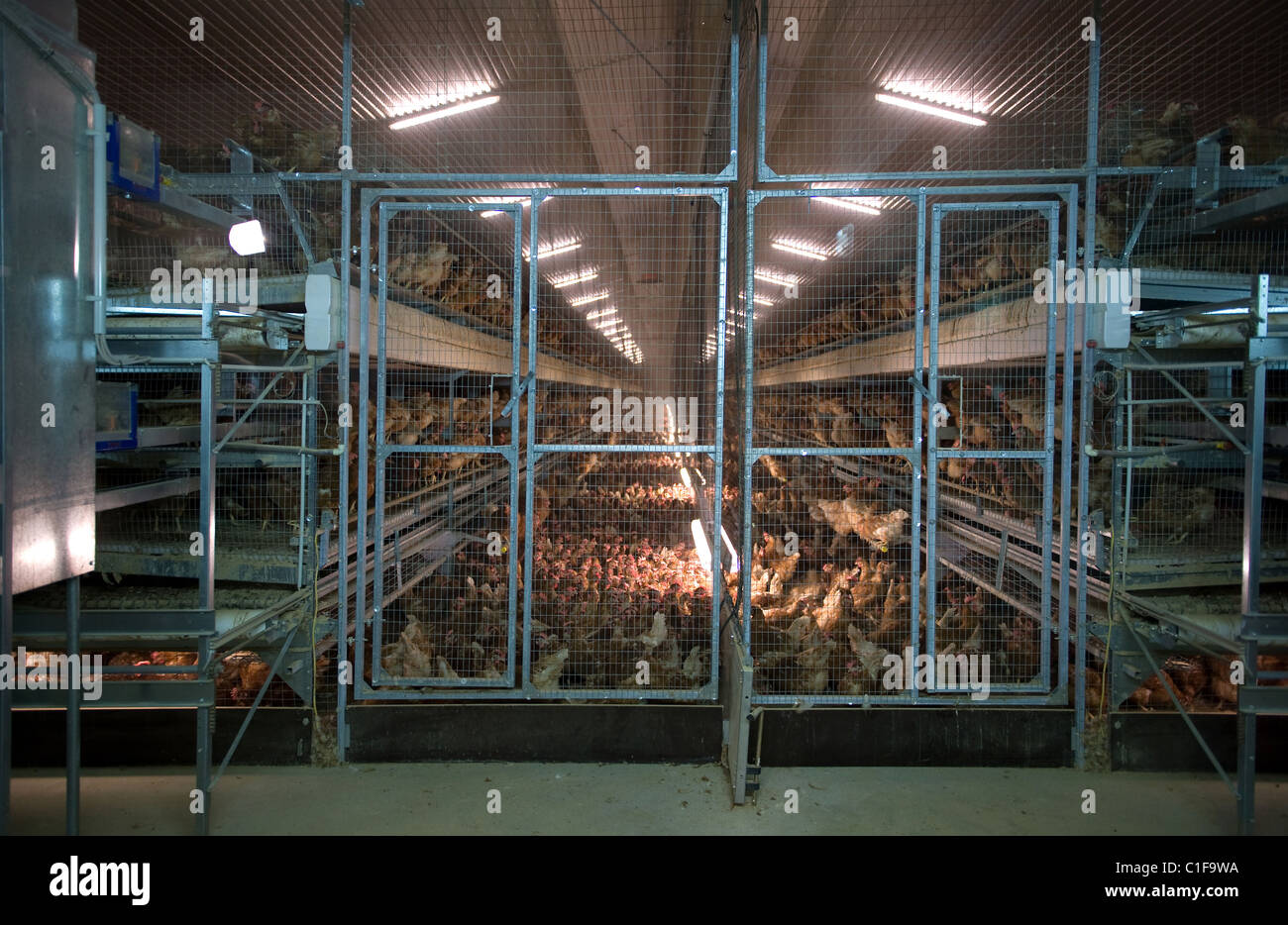 Mass producing houses hi-res stock photography and images - Alamy