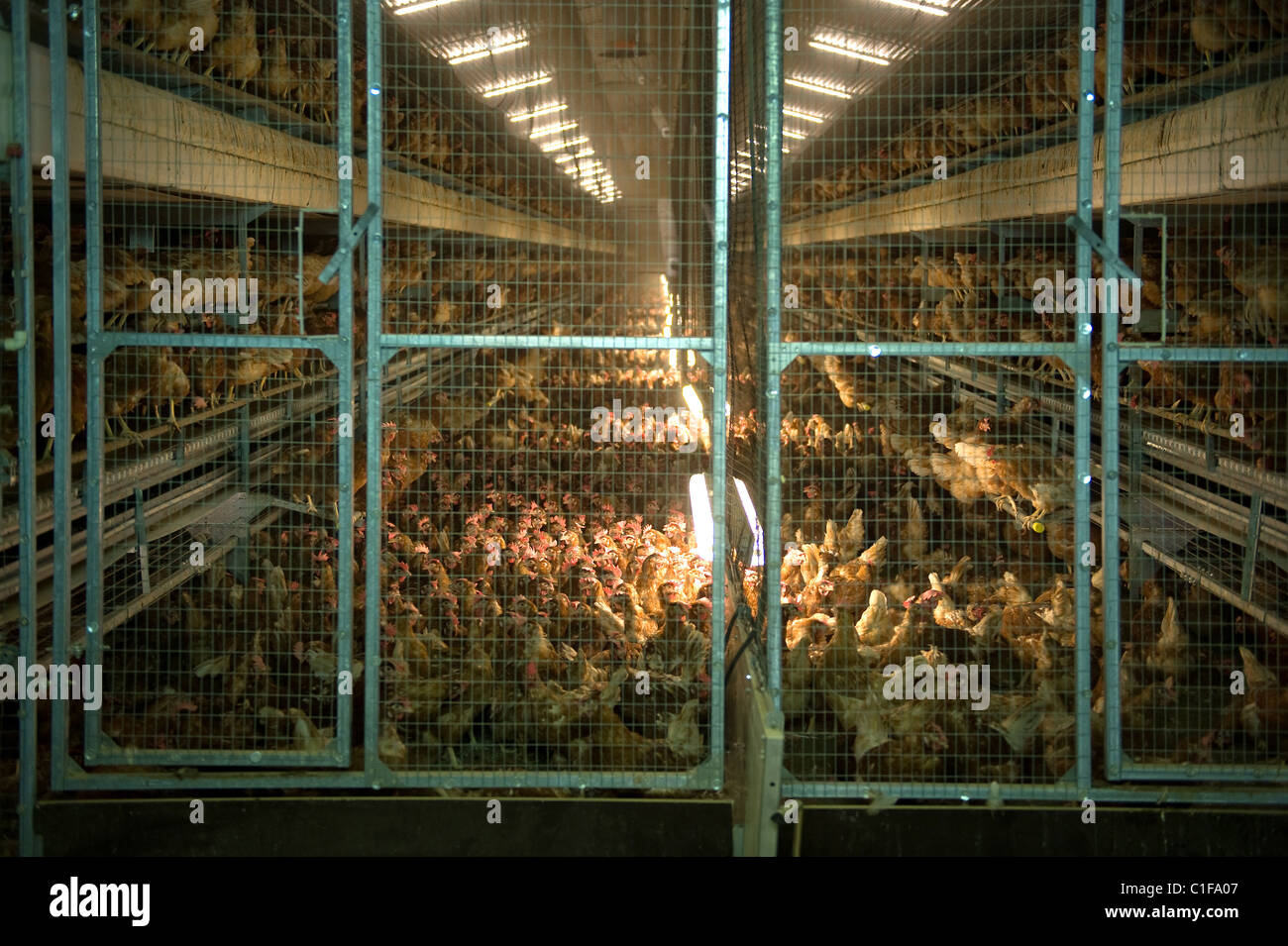 Hen houses hi-res stock photography and images - Alamy