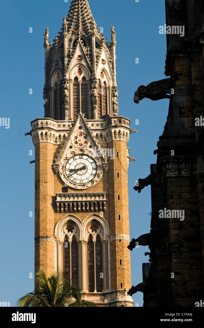 Rajabai Clock Tower University Of Mumbai Mumbai India Stock Photo Rajabai Clock Tower University Of Mumbai Mumbai India Stock Photo