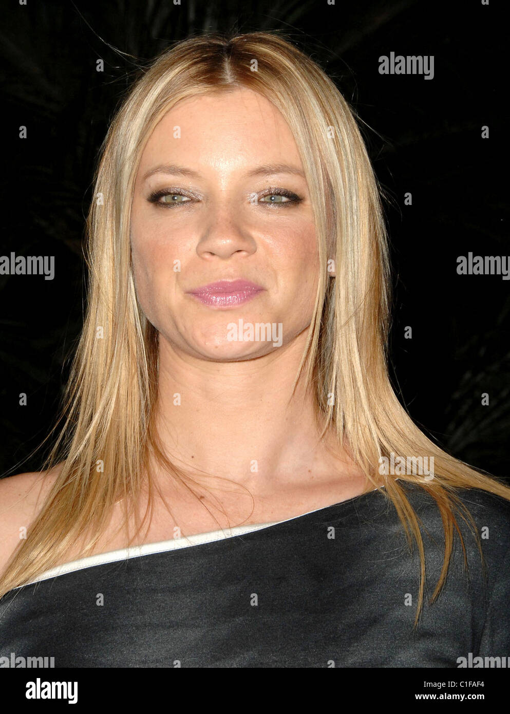 Amy Smart Los Angeles Premiere of 'Love N' Dancing' held at The ...