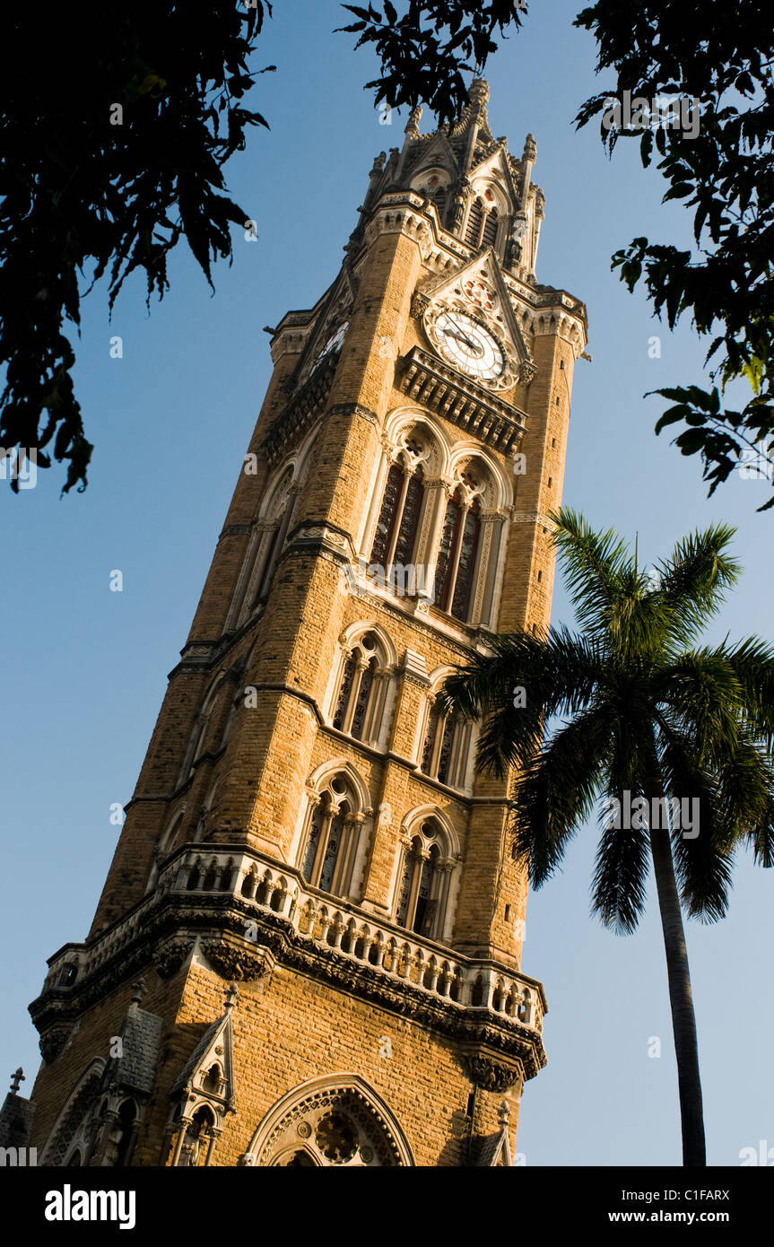 Rajabai Clock Tower, University of Mumbai, Mumbai, India Stock Photo ... Rajabai Clock Tower, University of Mumbai, Mumbai, India Stock Photo ...