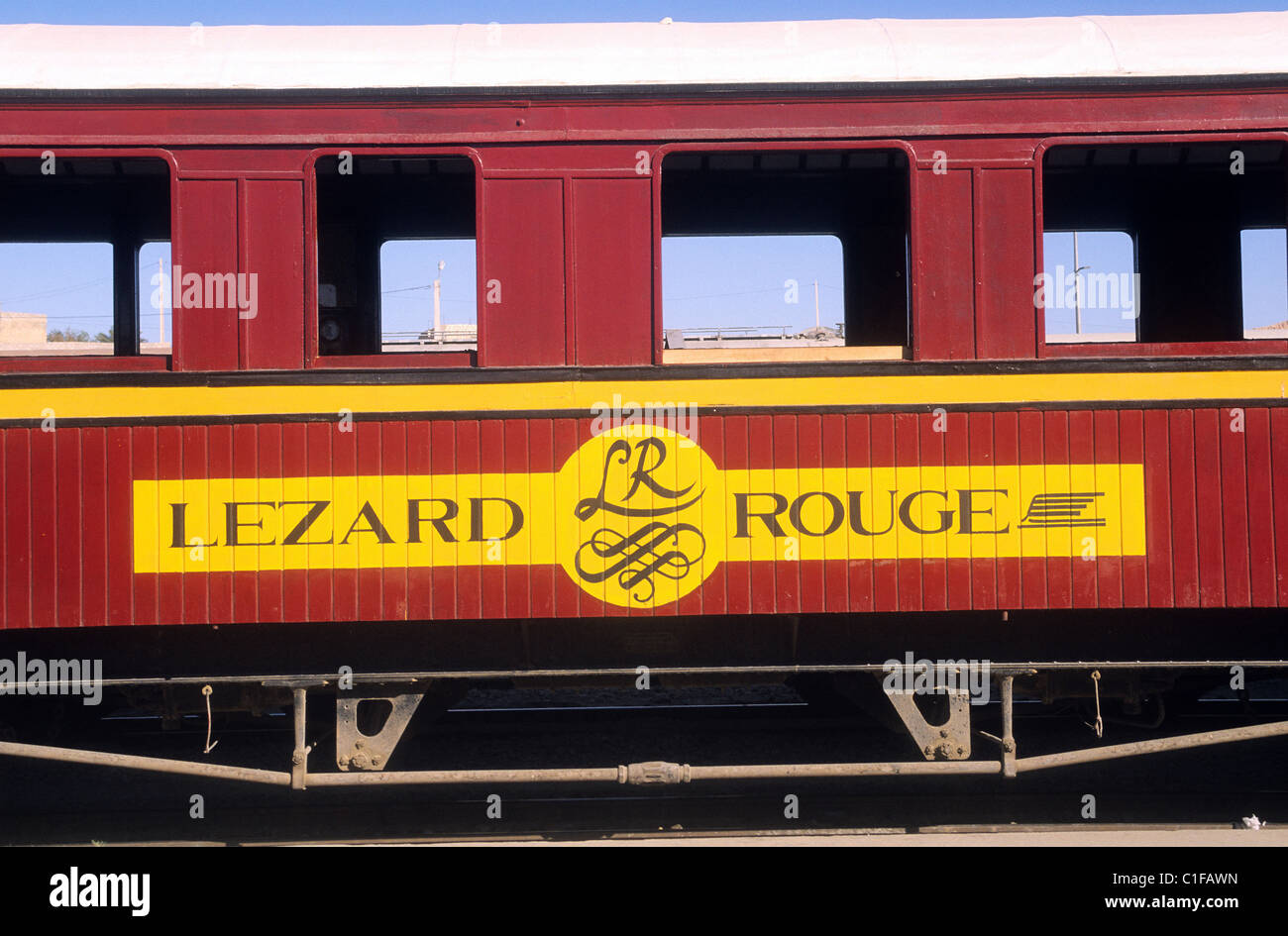 Lezard rouge hi-res stock photography and images - Alamy