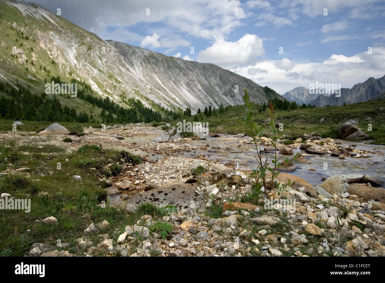 Landscape with river in Eastern Sayan mountains. Tunkinskie Goltsy ...