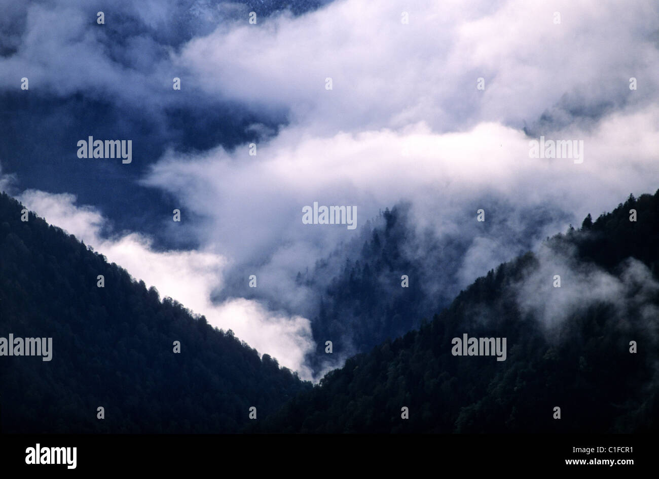 France, Haute Garonne, Pyrenees Centrales, landscape in the fog Stock ...