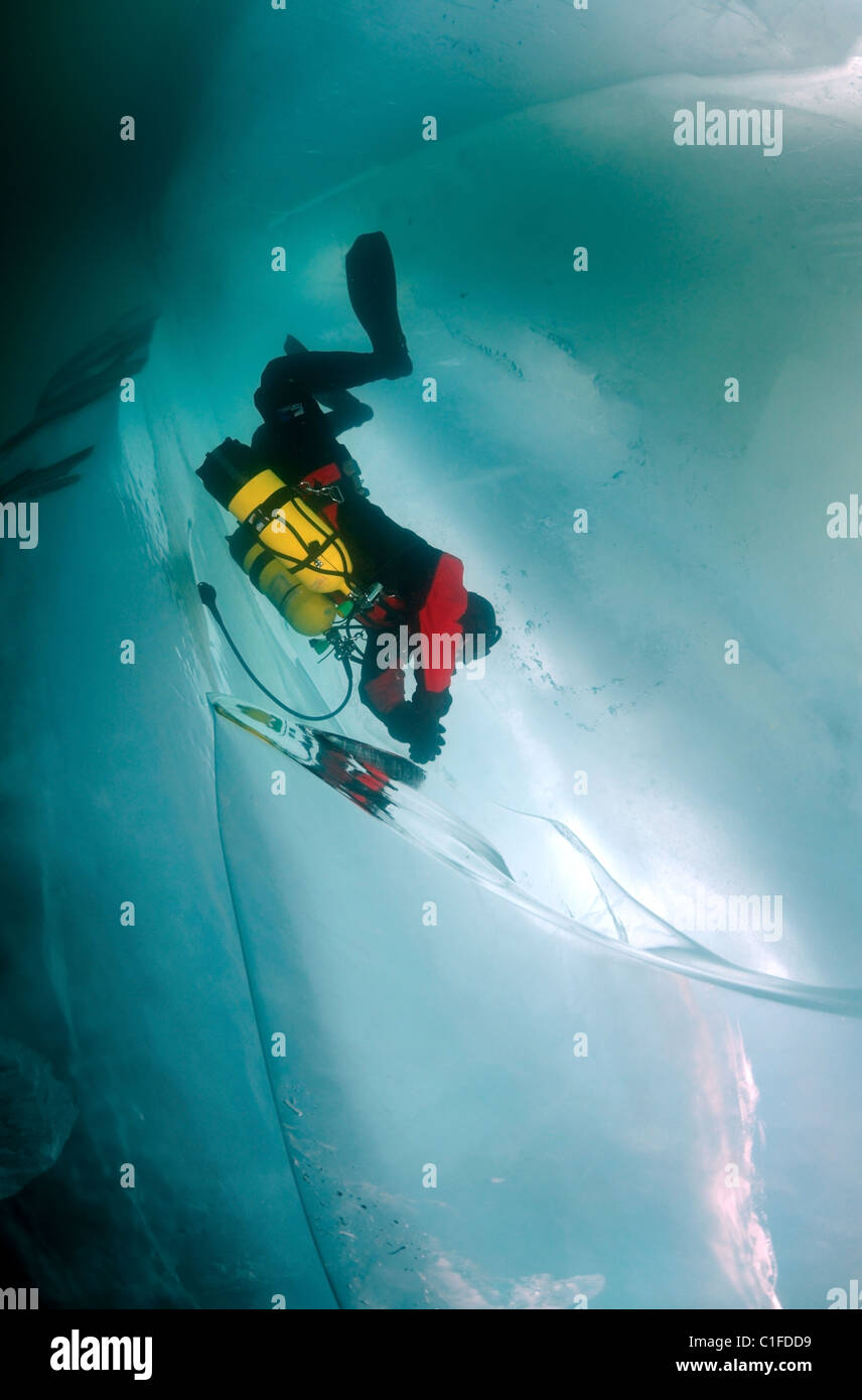 Ice diver under the ice icediving hi-res stock photography and images ...