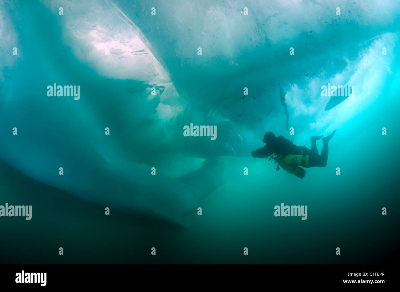 Scuba diver with sidemount under ice, in lake Baikal, Siberia, Russia ...