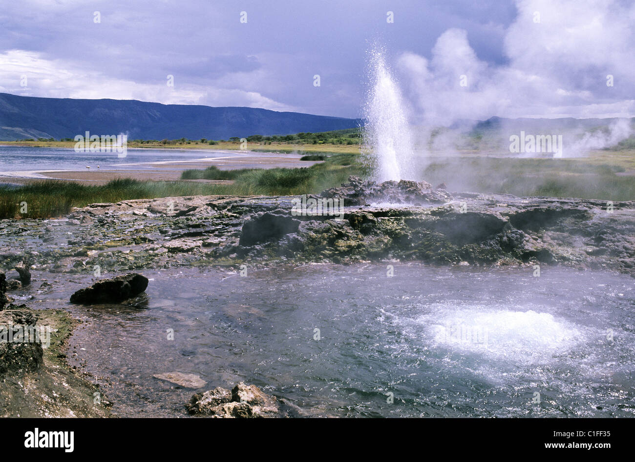 Kenya, Rift valley, geyser in the lake Bogoria reserve Stock Photo - Alamy