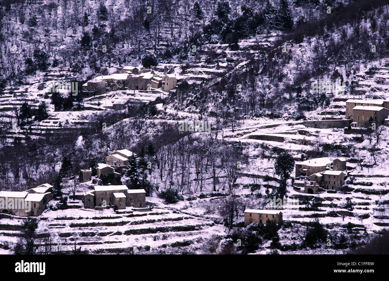 Savel hi-res stock photography and images - Alamy