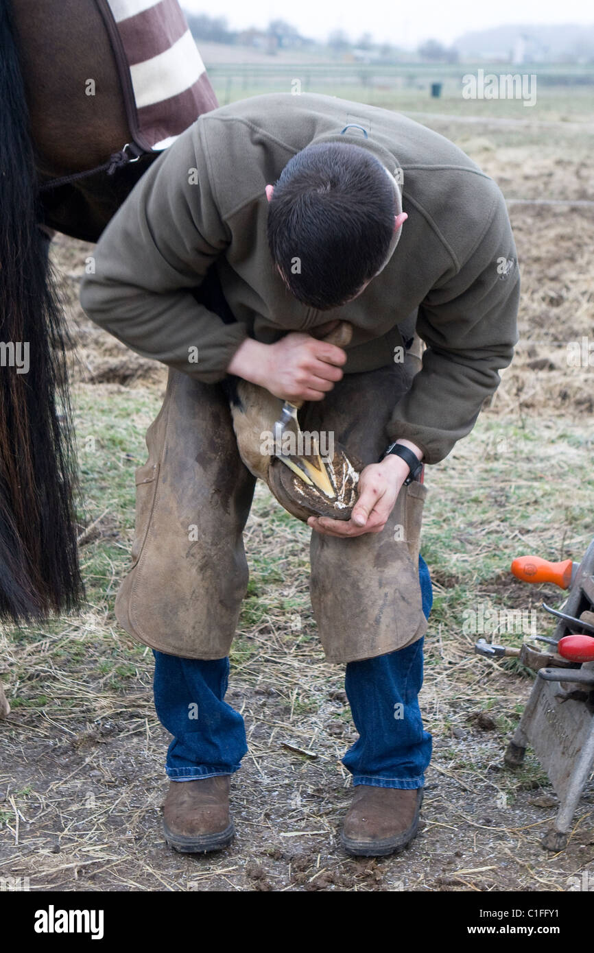 Farrier trimming horses hoof prior to shoeing Stock Photo - Alamy