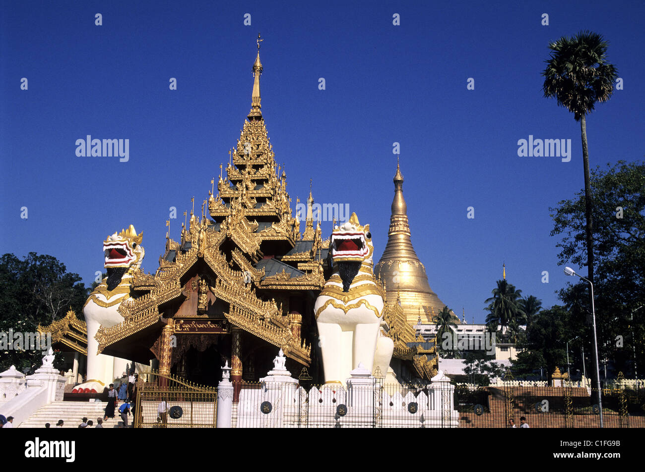 Myanmar (Burma), Yangon Division, Yangon (Rangoon), Shwedagon Pagoda ...
