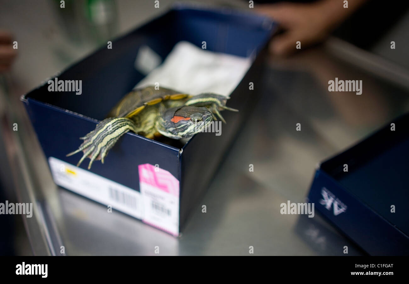 Hospital box hi-res stock photography and images - Alamy