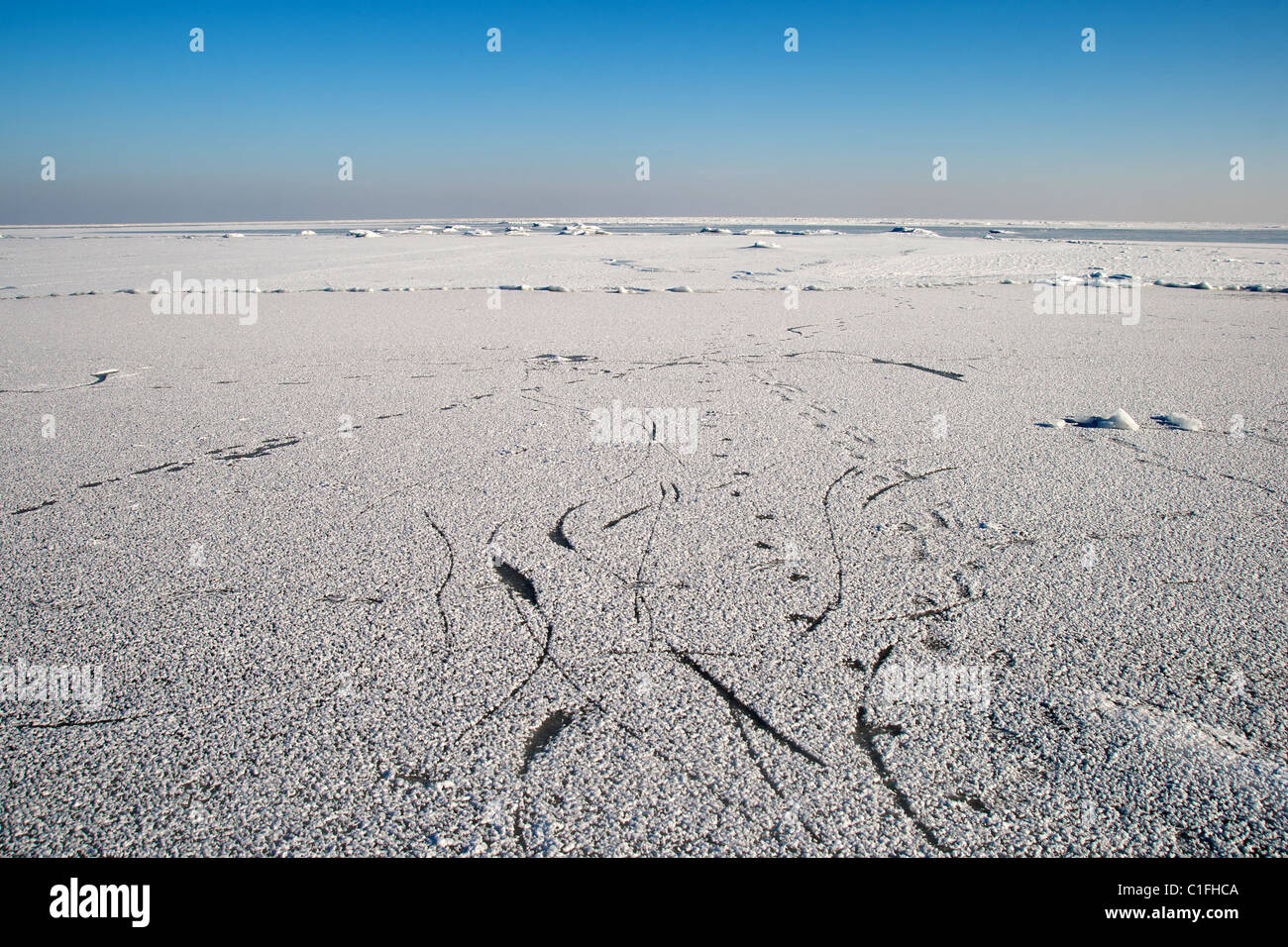 Baltic sea frozen hi-res stock photography and images - Alamy