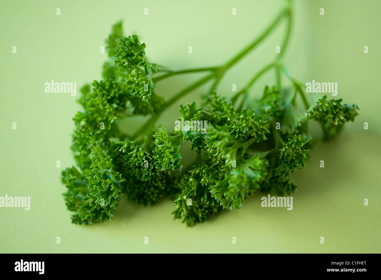 Curly parsley hi-res stock photography and images - Alamy