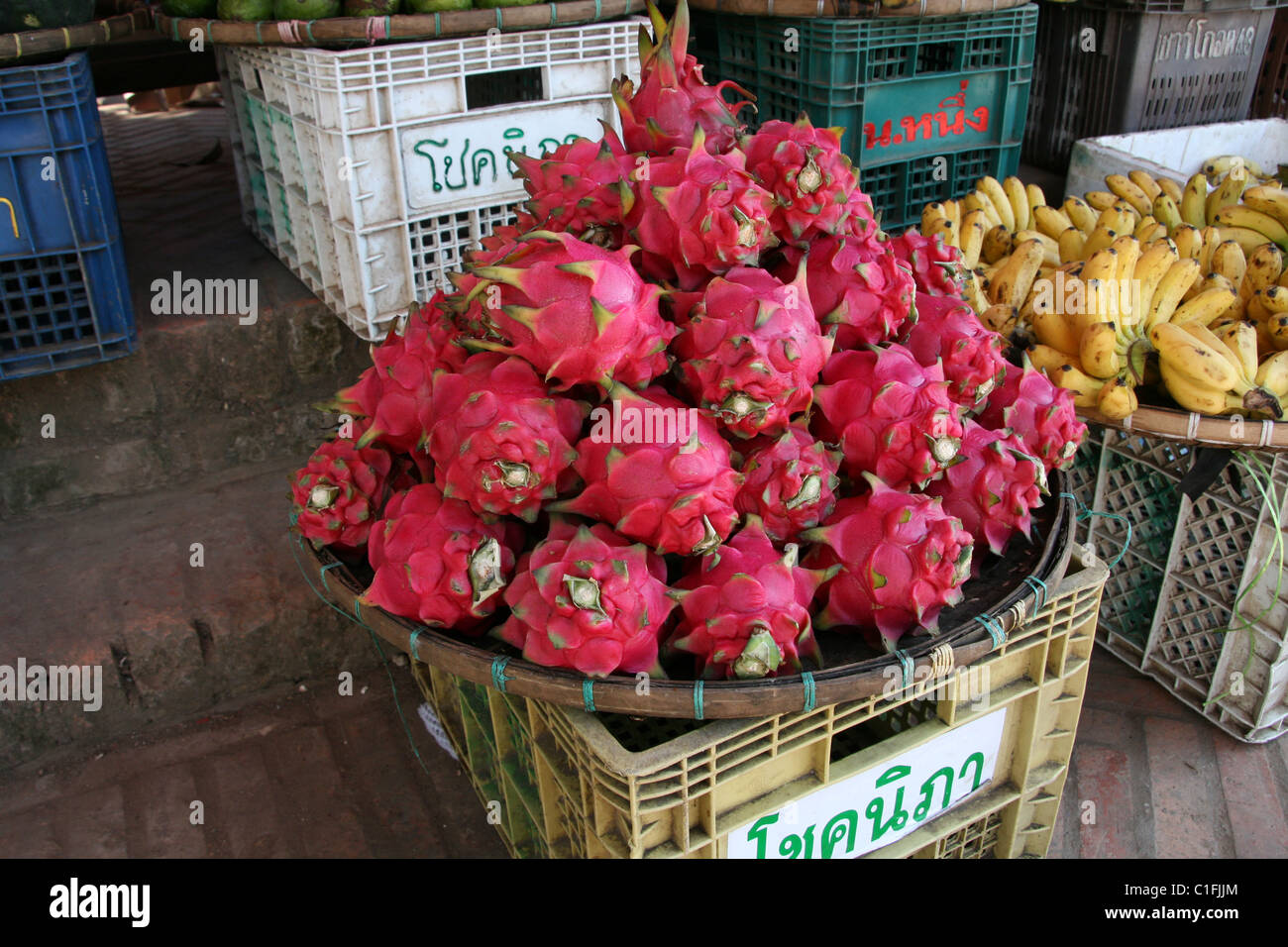 Dragon Fruit, Pitaya or Pitahaya fruit Stock Photo - Alamy