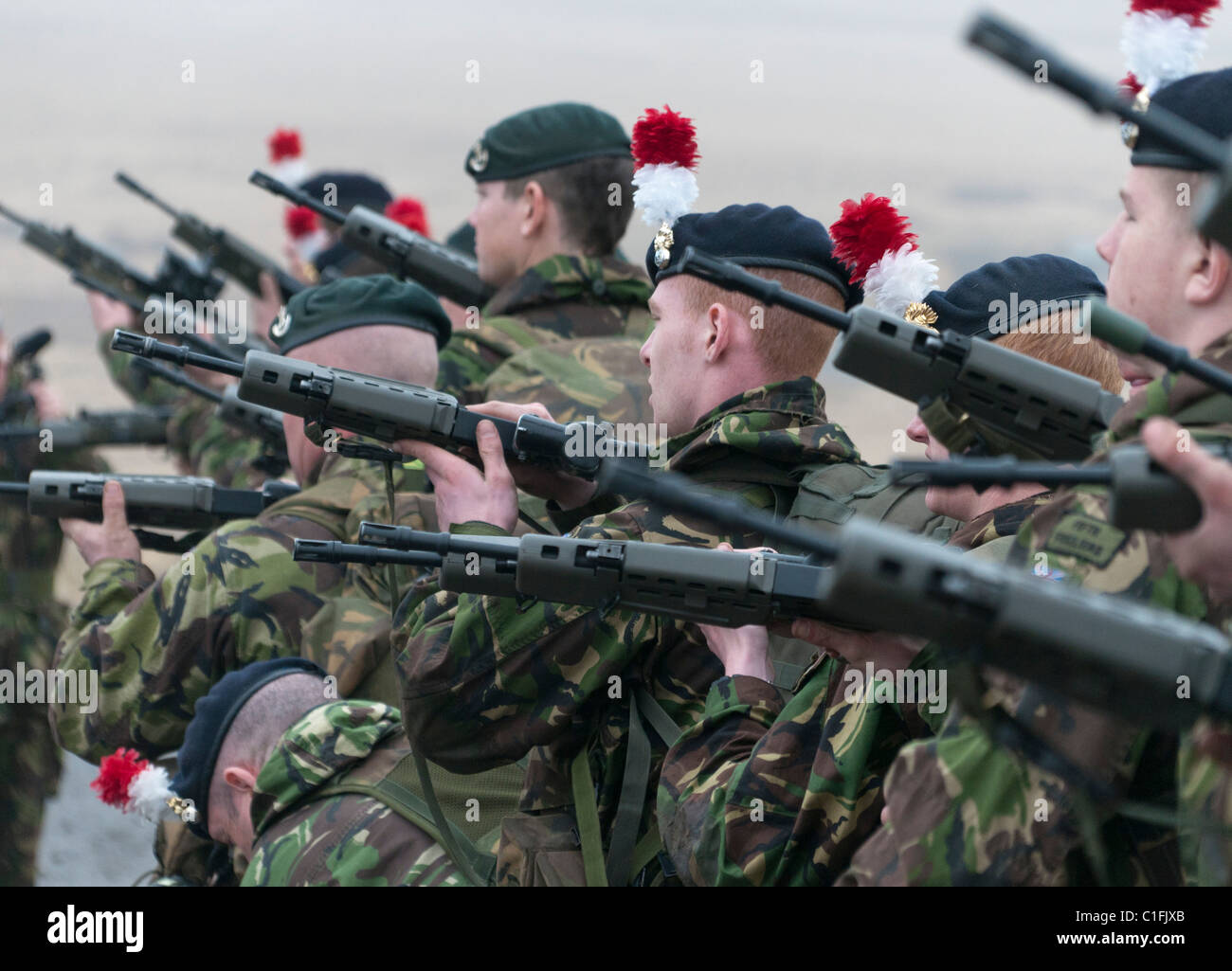 Soldiers from the Territorial Army training Stock Photo - Alamy