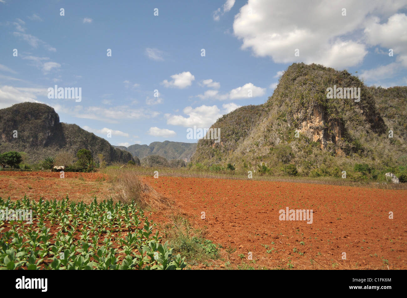 Mogote hi-res stock photography and images - Alamy