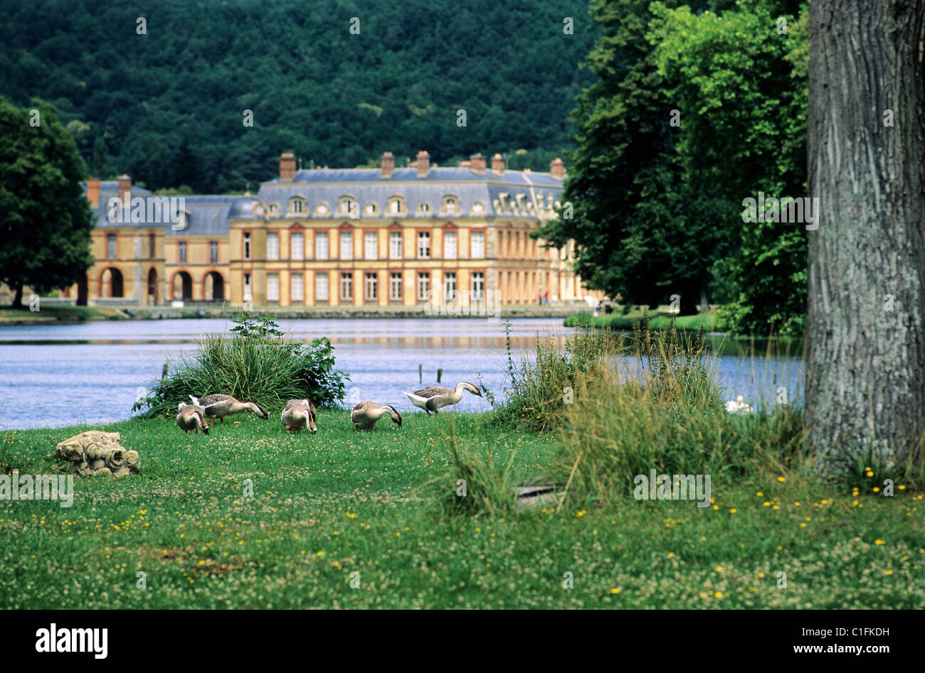 France, Yvelines, Dampierre castle Stock Photo - Alamy