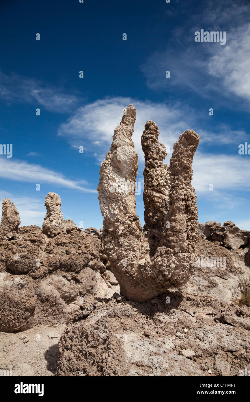 Petrified cactus (vents) adjacent to the Cueva de Las Galaxias, Uyuni ...