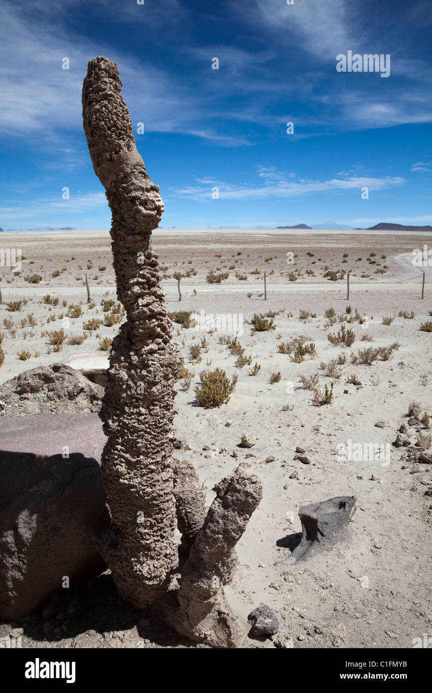 Petrified cactus (vents) adjacent to the Cueva de Las Galaxias, Uyuni ...