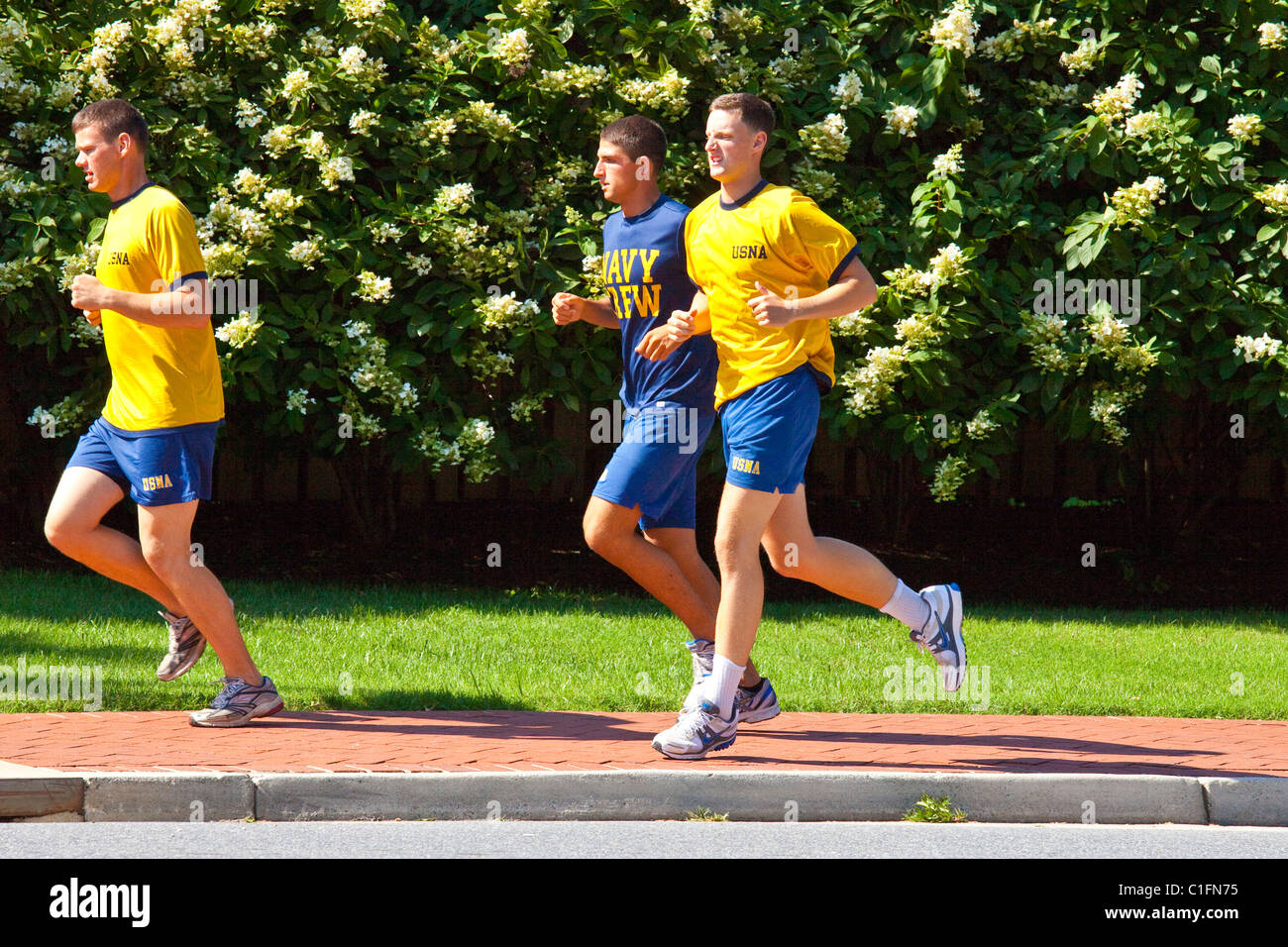 Us naval academy cadets hi-res stock photography and images - Alamy
