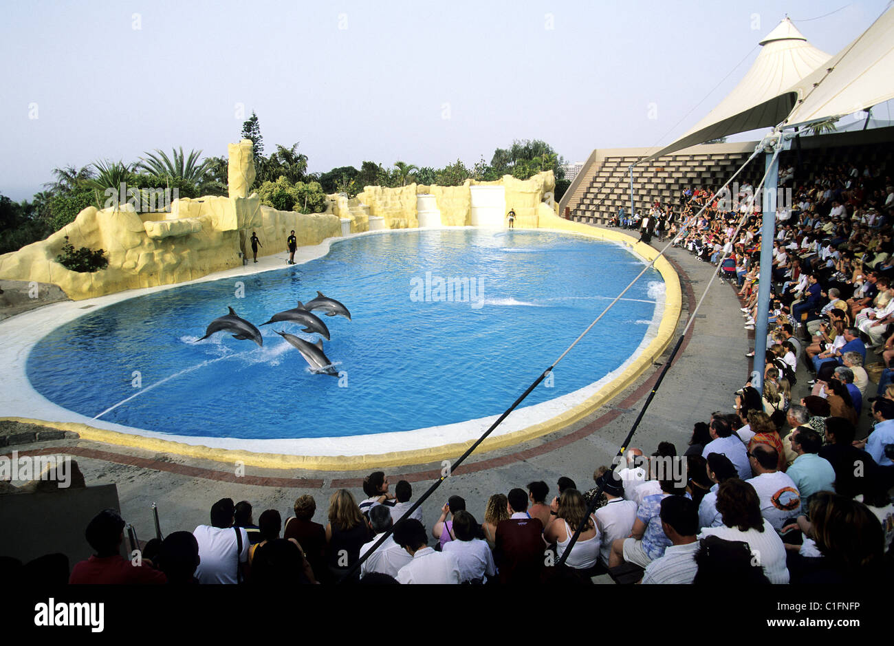 Loro hi-res stock photography and images - Alamy